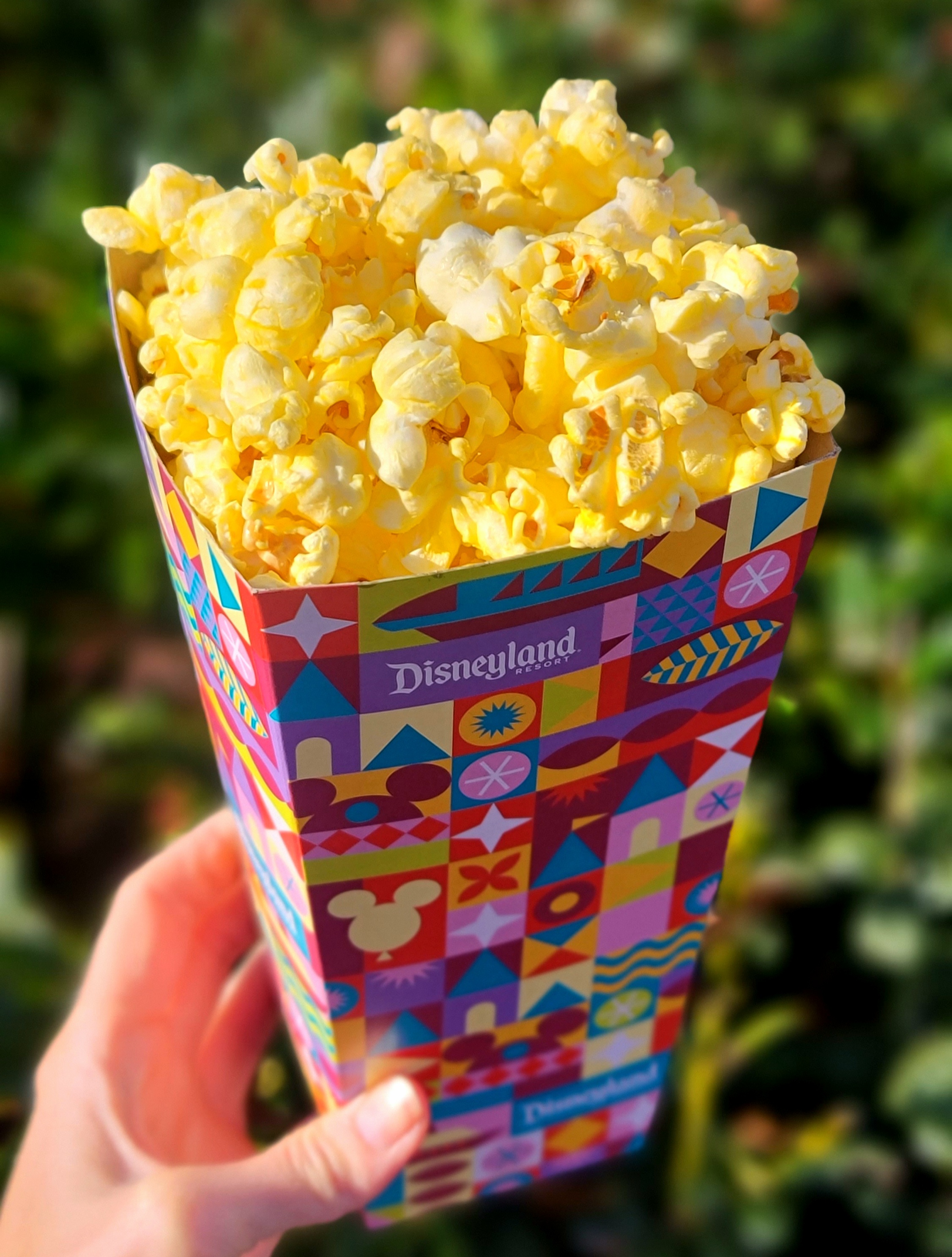 Vegan Kid’s Meals in Disneyland and California Adventure! – Your Guide ...